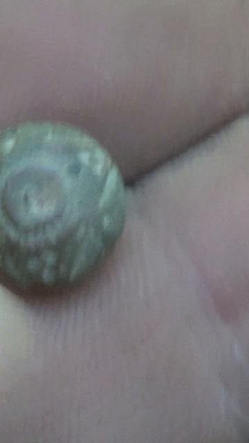 Старинная пуговица на болоте #shorts #старина #пуговица #наболоте #другаяжизнь