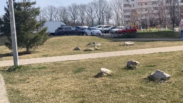 Отвечаю на вопросы и делюсь новостью