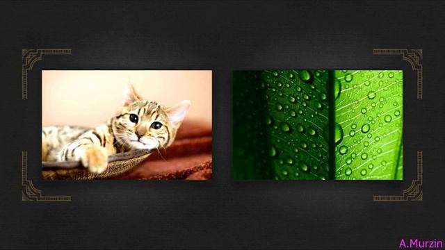 Angelo Taylor - Alone In The Universe