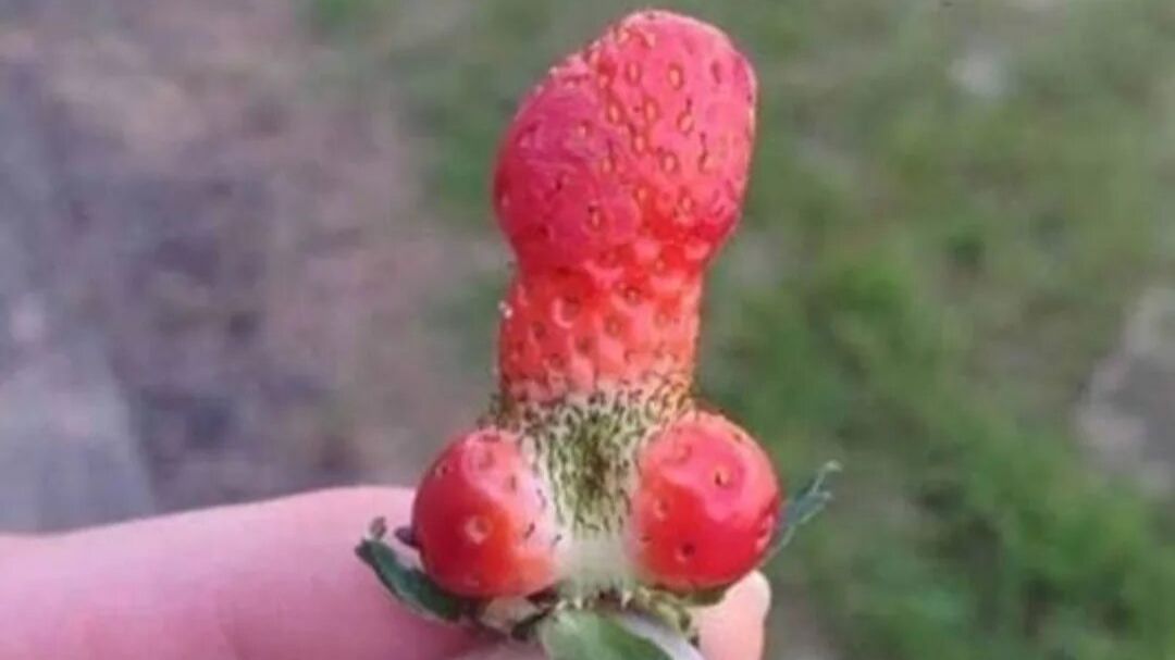 Хер редьки не слаще