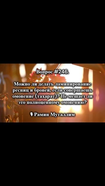 Вопрос #246.