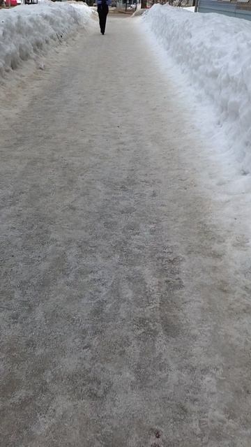 №1833 ул. Полины Осипенко. 22 марта 2026 г., 10:34:53 VID_20260322_103324041