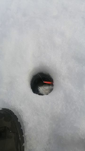 Обловил компаньёнов