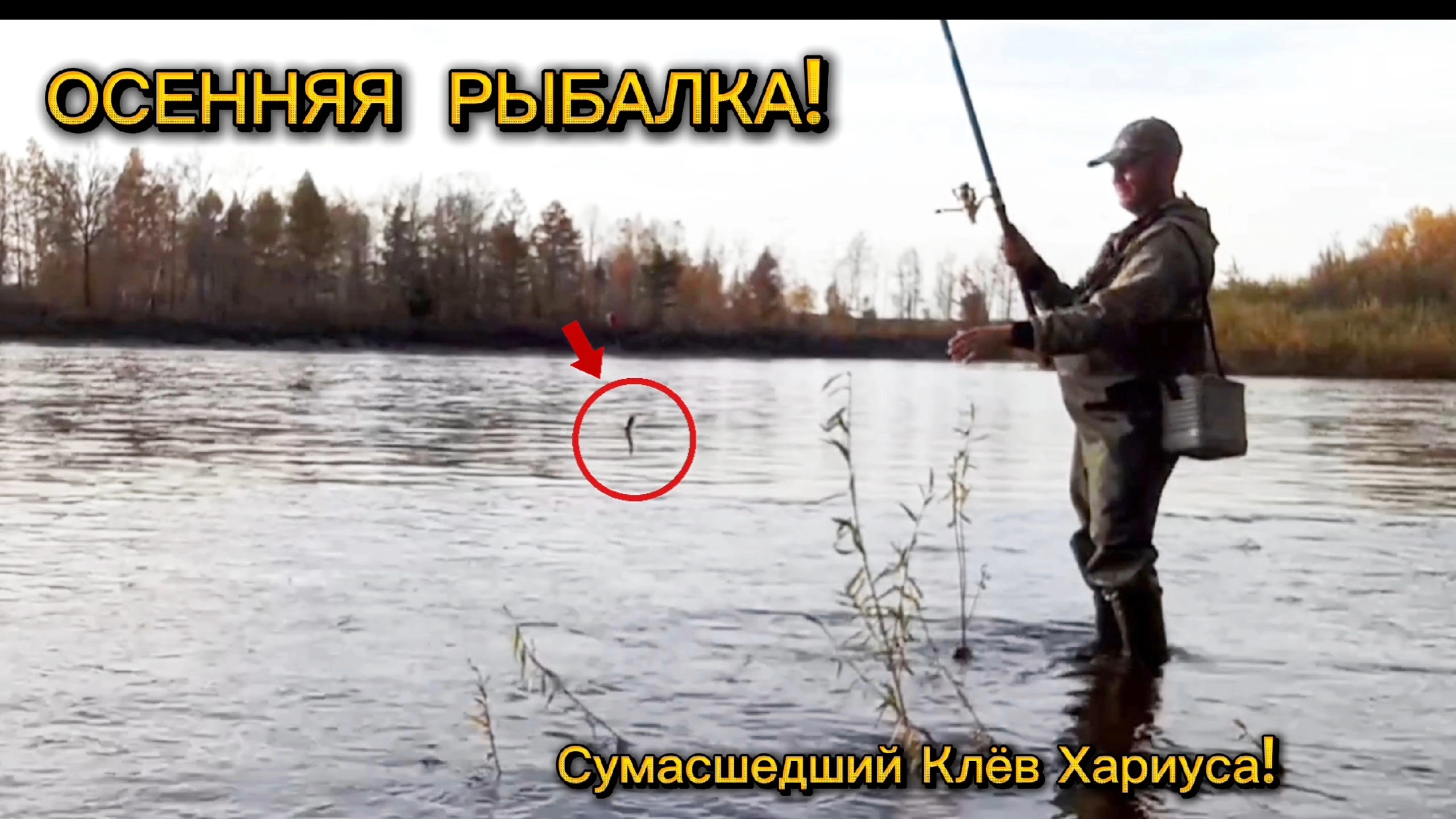 СУПЕР КЛЁВАЯ!!! Рыбалка на Хариуса!!!