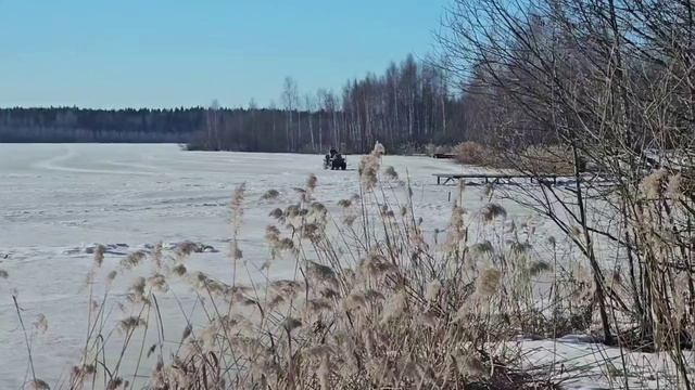 Пришибленный