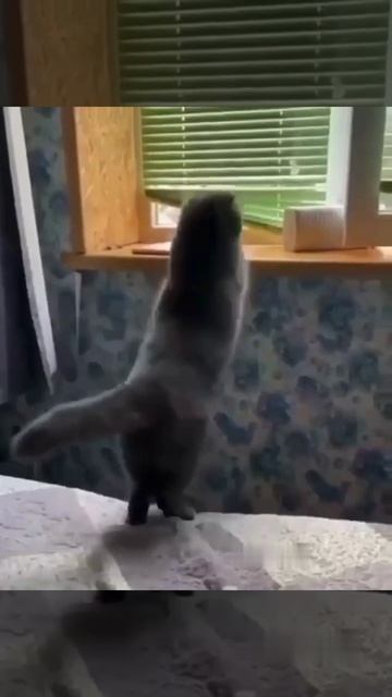 Я сделаю это!