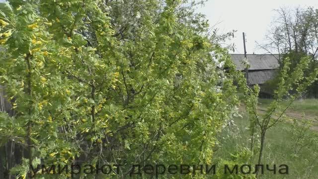 Умирают деревни молча