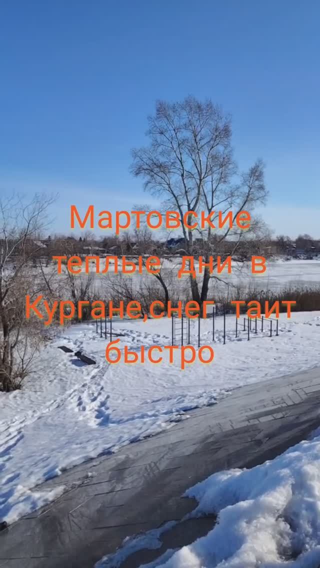 Мартовские теплые дни в Кургане снег тает быстро#shorts
