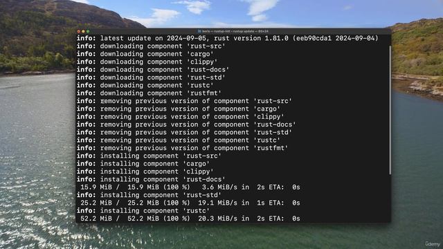 13. Updating or Uninstalling Rust with rustup