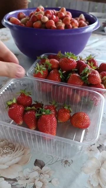 Смотри, слушай и наслаждайся! Клубника и музыка🔥🔥🔥