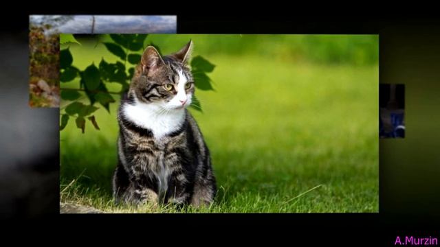 Angelo Taylor - 700 Meters Of The Deep