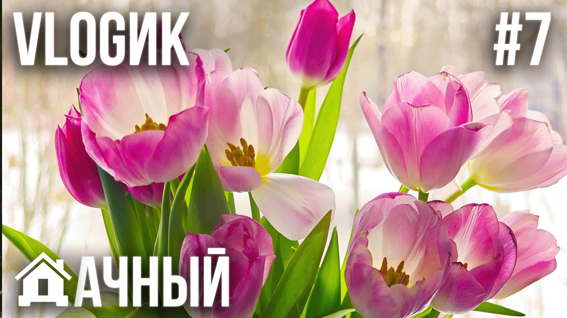ДАЧНЫЙ VLOGик #7. ВЕСНА НА ДАЧЕ. ПРАЗДНУЕМ ВОСЬМОЕ МАРТА. ДЕЛАЕМ СВЕТ НА ТЕРРАСЕ. ИСПРАВЛЯЕМ ОШИБКИ.