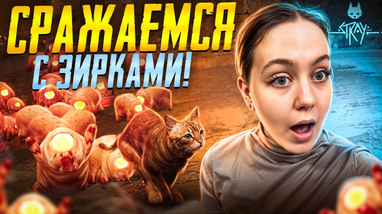 НОВАЯ ГЛАВА / КРЫШИ / СТРЭЙ 5 ЧАСТЬ