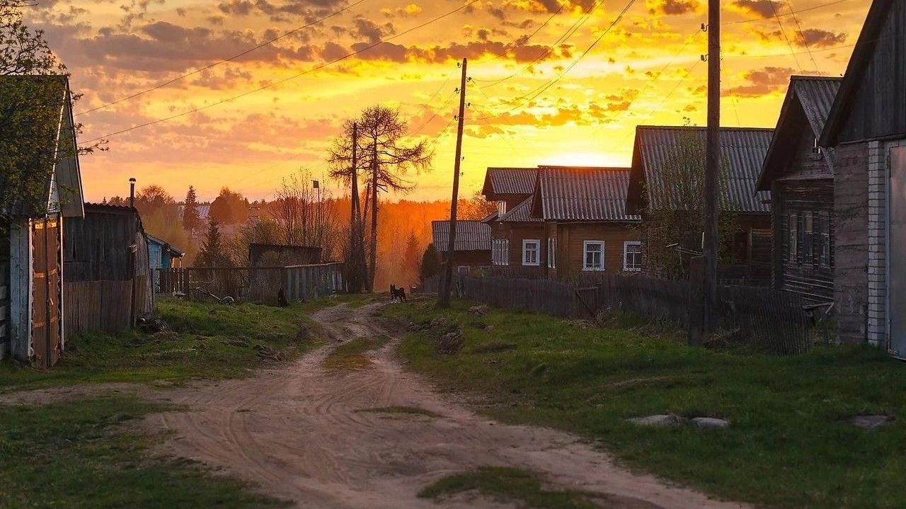 Деревенские истории. Четыре жизненные деревенские истории.