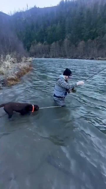 Хозяин, поехали домой, нету здесь рыбы…