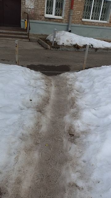 №1831 Двор Сибирская 73. 22 марта 2026 г., 10:32:07 VID_20260322_103124684