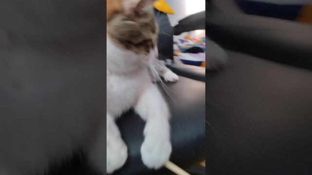 онь миляшка