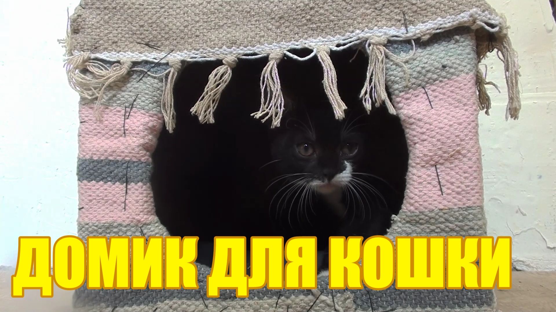 Сделал Домик для кошки из картона и ткани