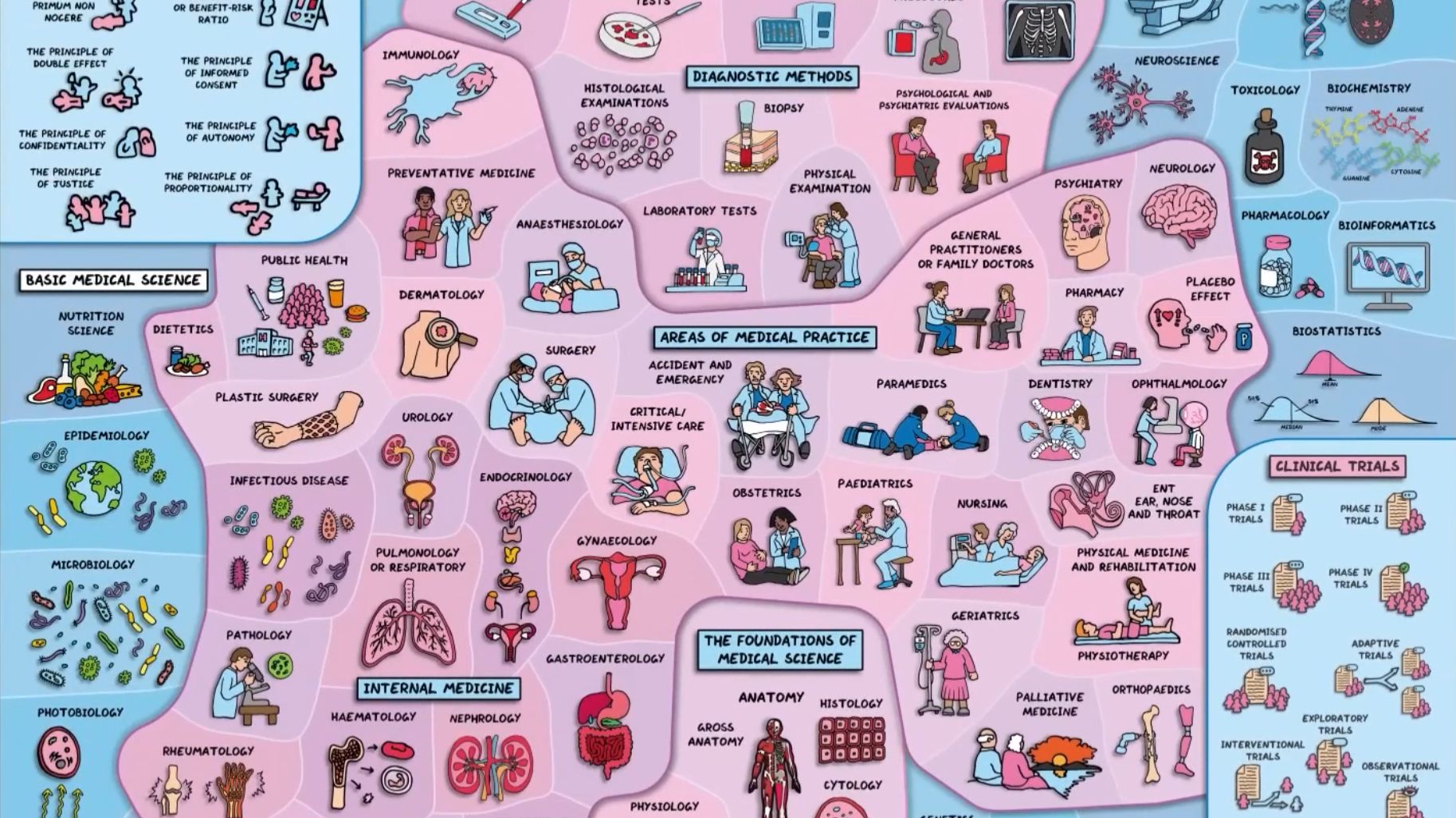 Всеобъемлющая карта медицины