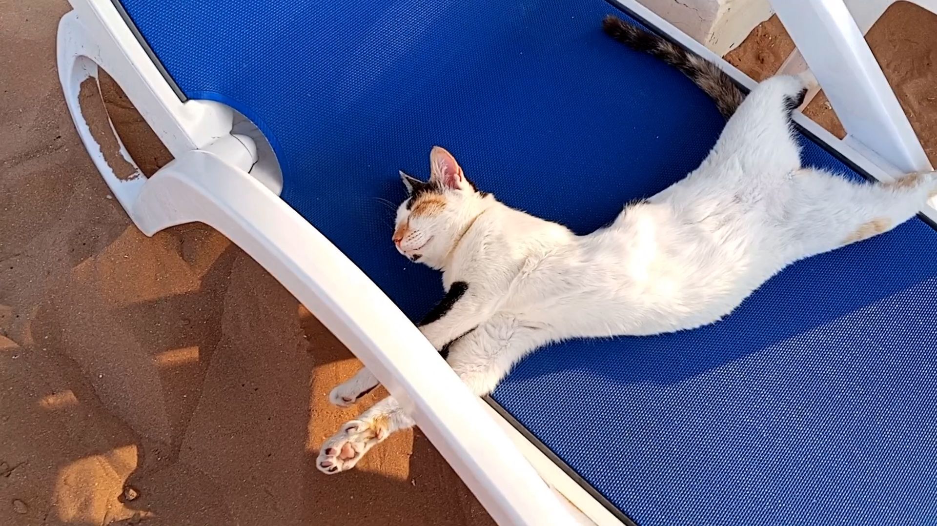 Я обожаю пляжи в Эмиратах!