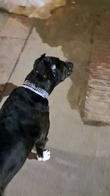 Девушка в порядке# Лада контролерша#