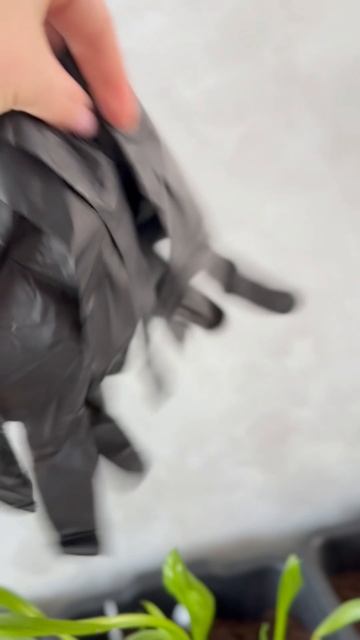 🔞Мои взрослые игрушки 40+ Как переехали в Крым так и понеслось... #крым #сад #огород #рассада