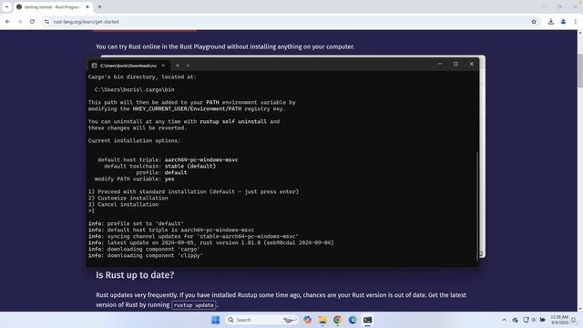 11. Windows Installing Rust