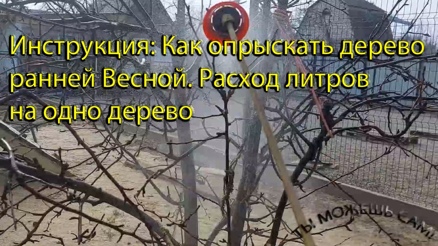 Инструкция: Как опрыскать дерево ранней Весной. Расход литров на одно дерево