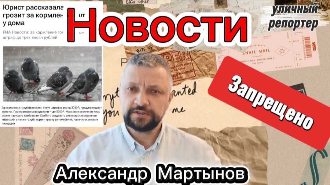 Запретили кормить голубей у дома. Будут штрафовать. Уличный репортер Александр М. Блогеры Уфы