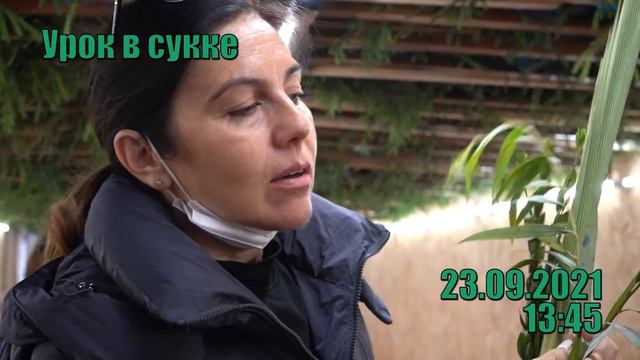 Суккот – Sukkot - 2021