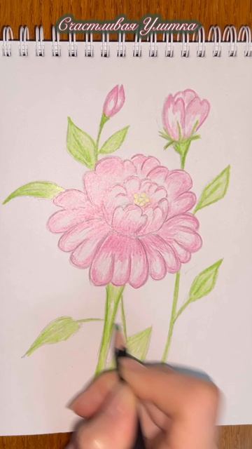 Простой рисунок карандашами Цветы