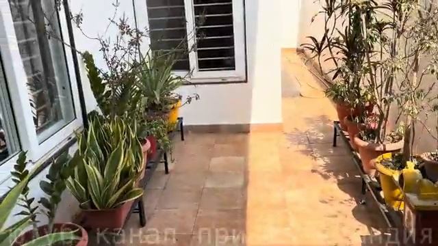 Привет Я Индия / С МЕНЯ ХВАТИТ Я НИКОМУ НИЧЕГО НЕ ДОЛЖНА ЗА ЧТО Я ДОЛЖНА ВЫСШЕЙ КАСТЕ ПЛАТИТЬ