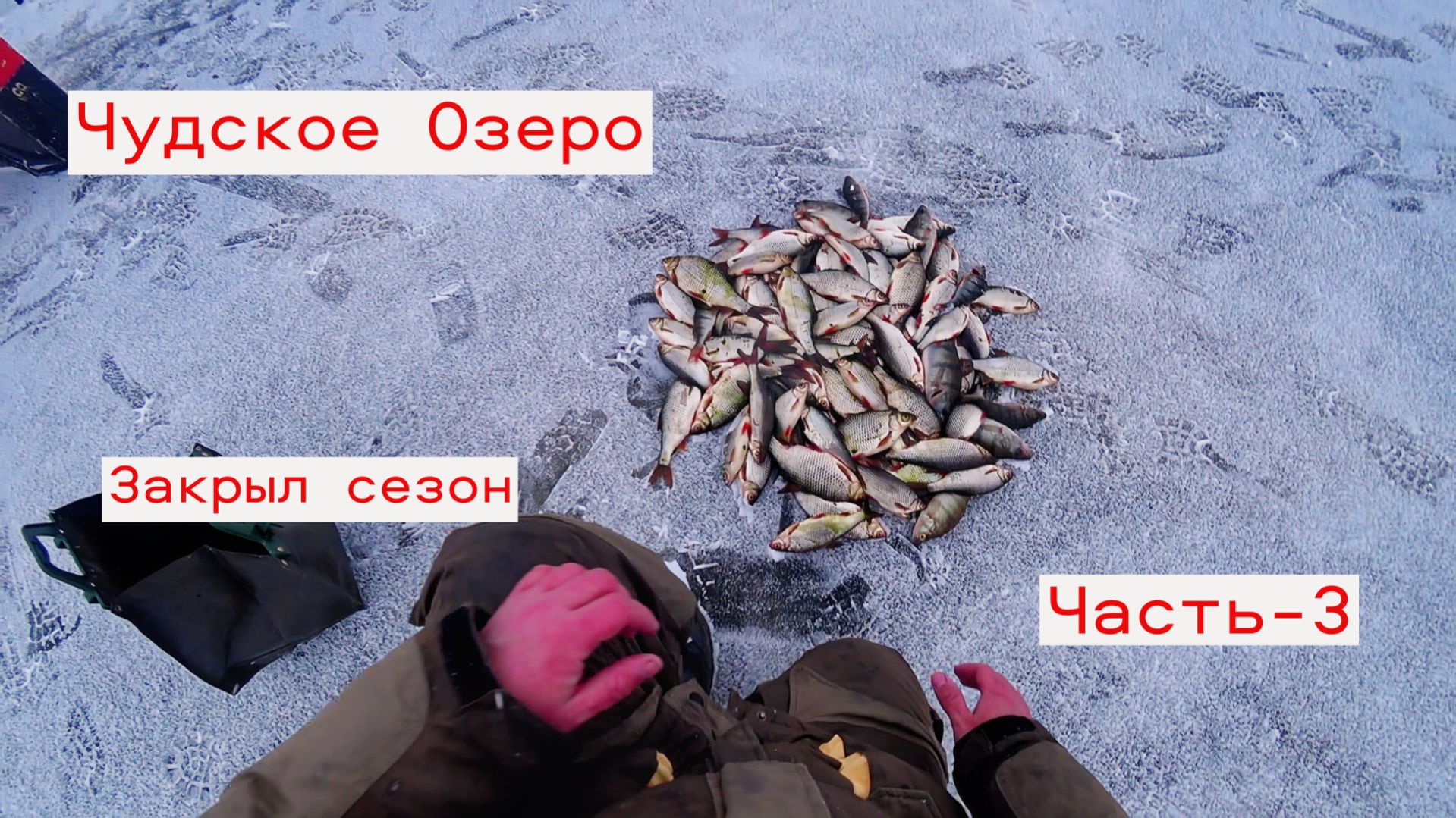 Чудское Озеро. На Третий День Начала Клевать Плотва Крупней. Закрытие Сезона