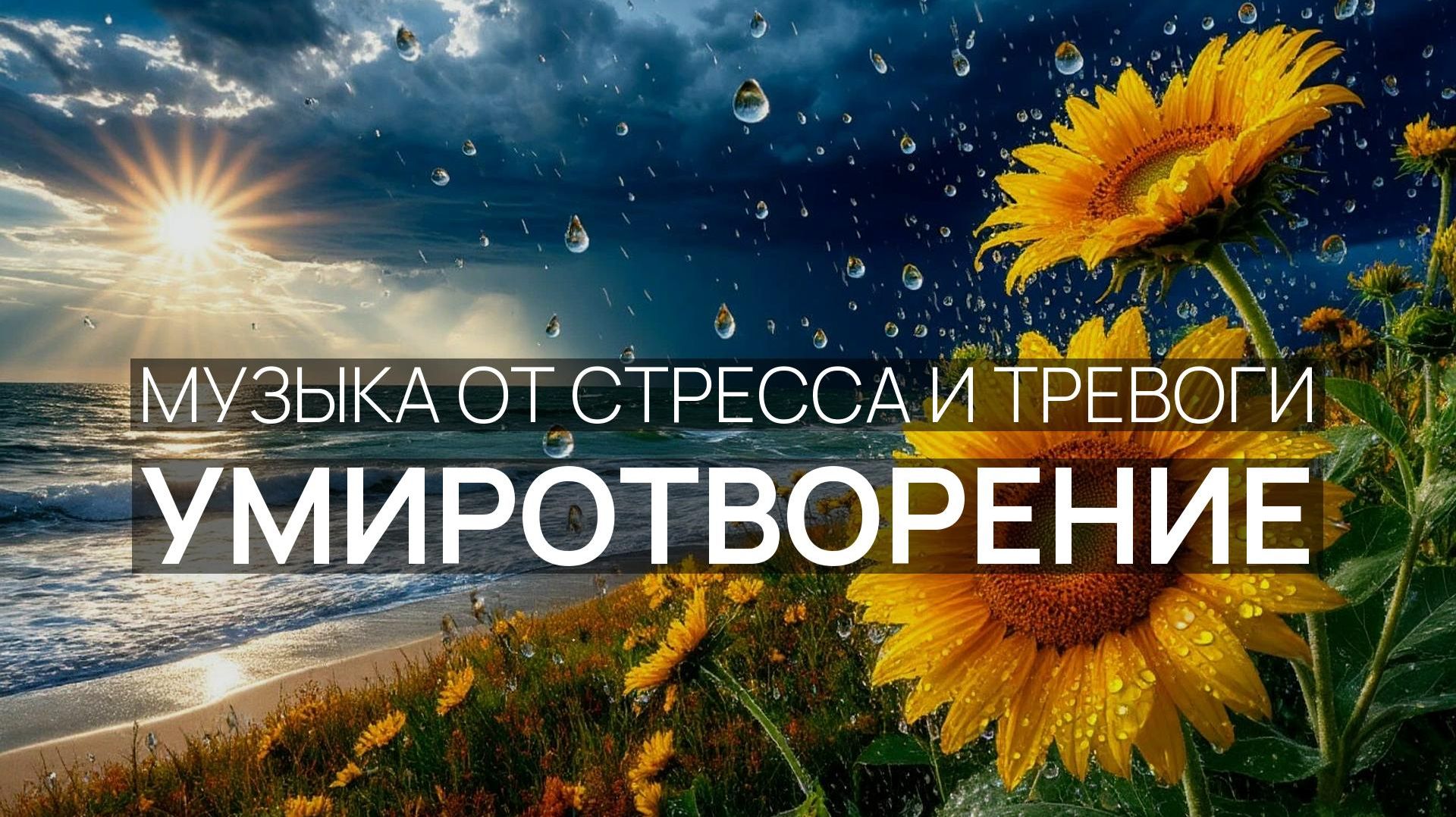 Умиротворение 🌙 Океанские волны 💙 Закат на пляже 🧘