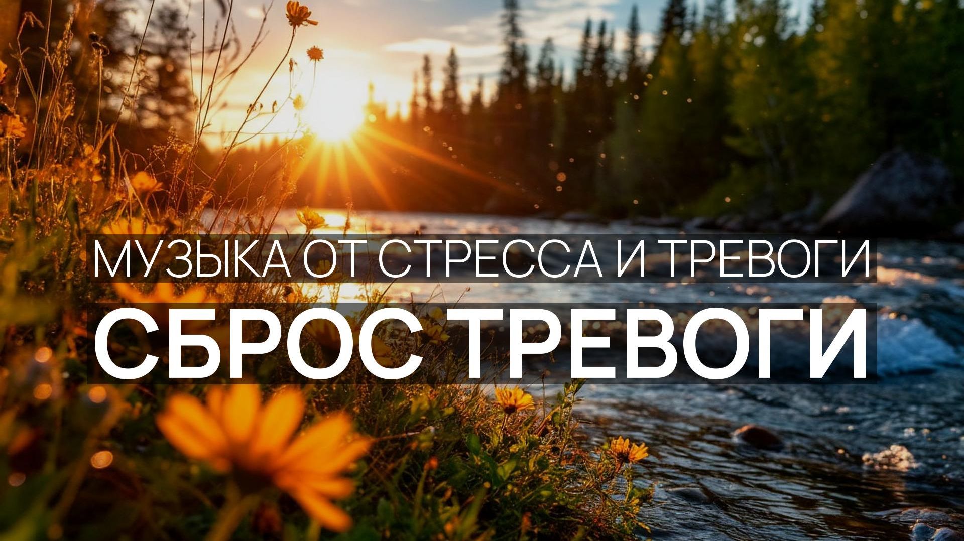 Сброс тревоги 🌴 Шум прибоя 🎵 Рассветный туман 🌿