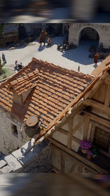 Crimson Desert - Котик