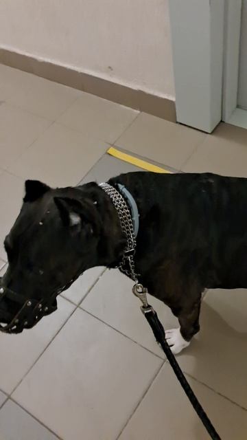 В лифте отключился свет# Все закончилось хорошо###