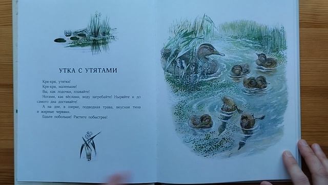 Эта книга о животных может подружить ребенка с Книгой