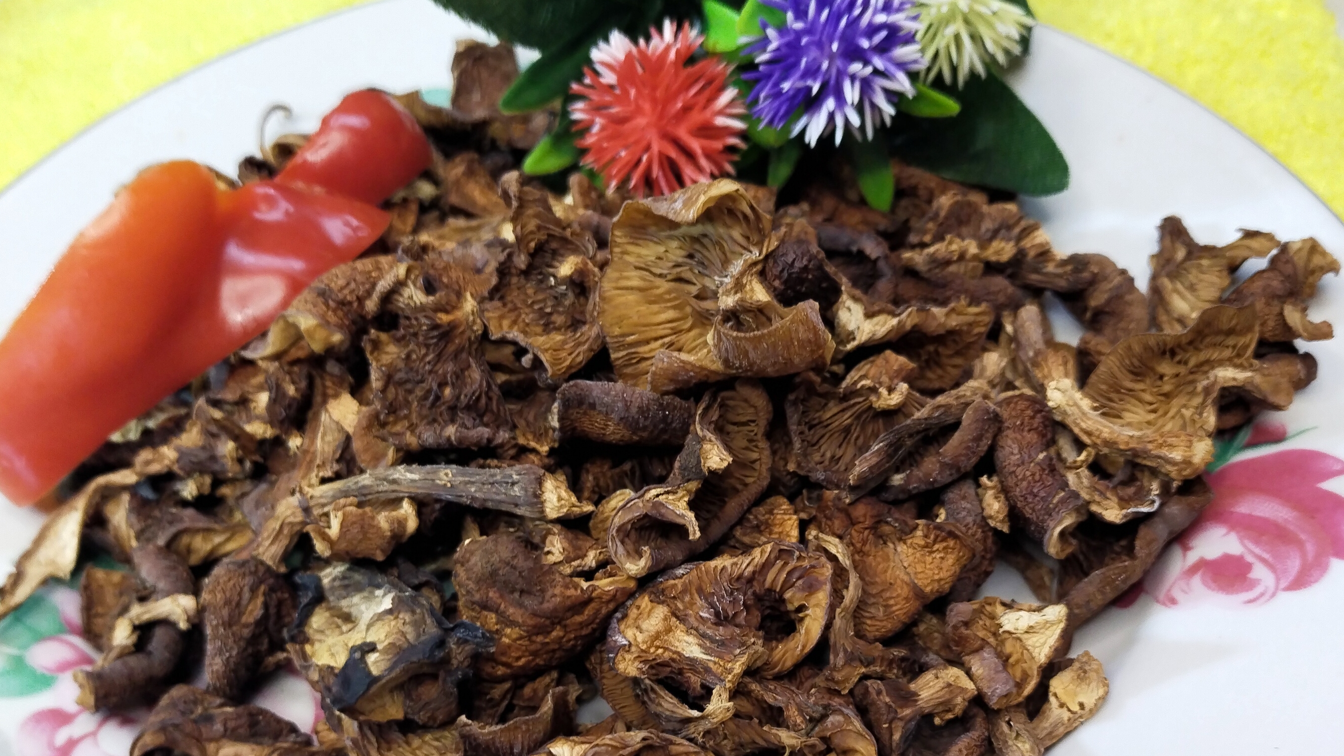 Опята сушеные суп-пюре