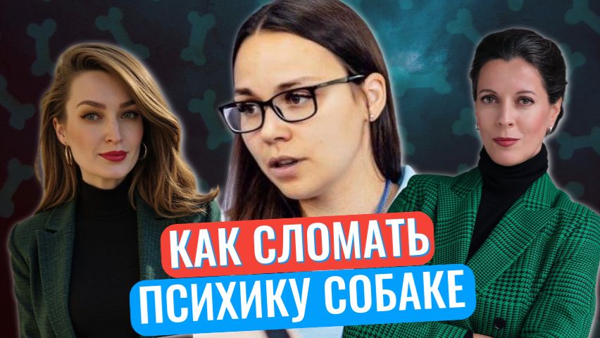 Как познакомить собак // Ревность животных // Как подготовить питомца к клинике
