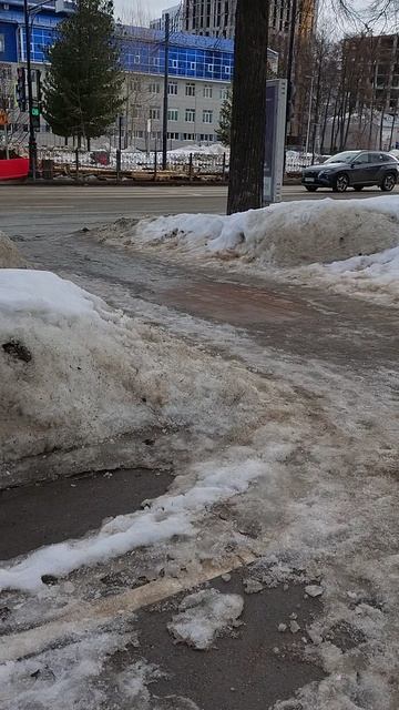 №1834 ул. Полины Осипенко. 22 марта 2026 г., 10:35:31 VID_20260322_103505056