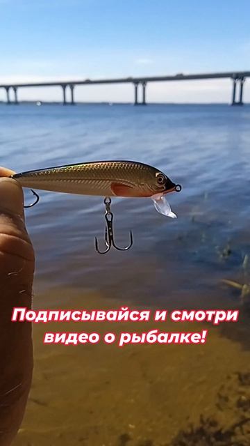 Для ловли щуки, крупного окуня, судака и других видов хищной рыбы в любую погоду и на любом водоеме.