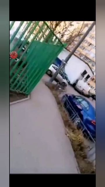 С-ПБ. _ЭТО ПРЕДЕЛ 20260322___A3_N_S0F_TRЕЕ_(8)