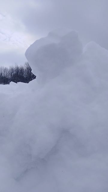 ✔Пилим дрова🔥 с котами😽😻✔