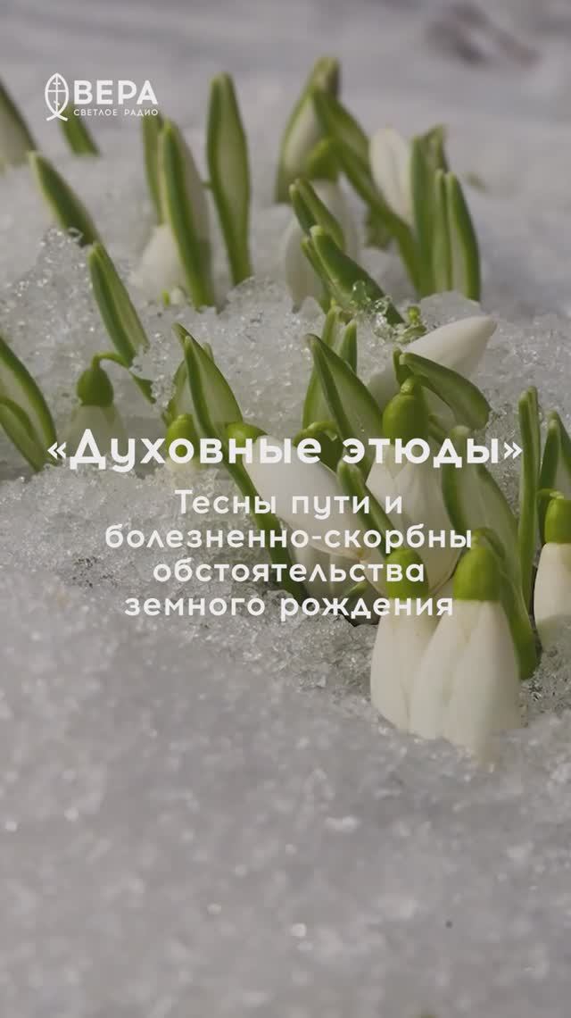 Как тесны пути и болезненно‑скорбны обстоятельства нашего земного рождения из лона матери!