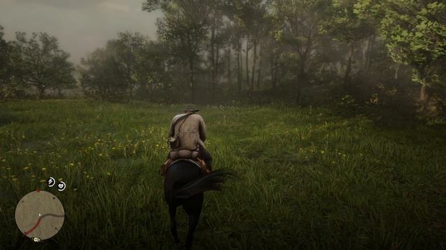 Часть 46. Должник Элджи. Прохождение Red Dead Redemption 2