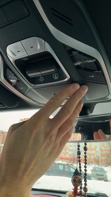 Очечник Джили Белджи