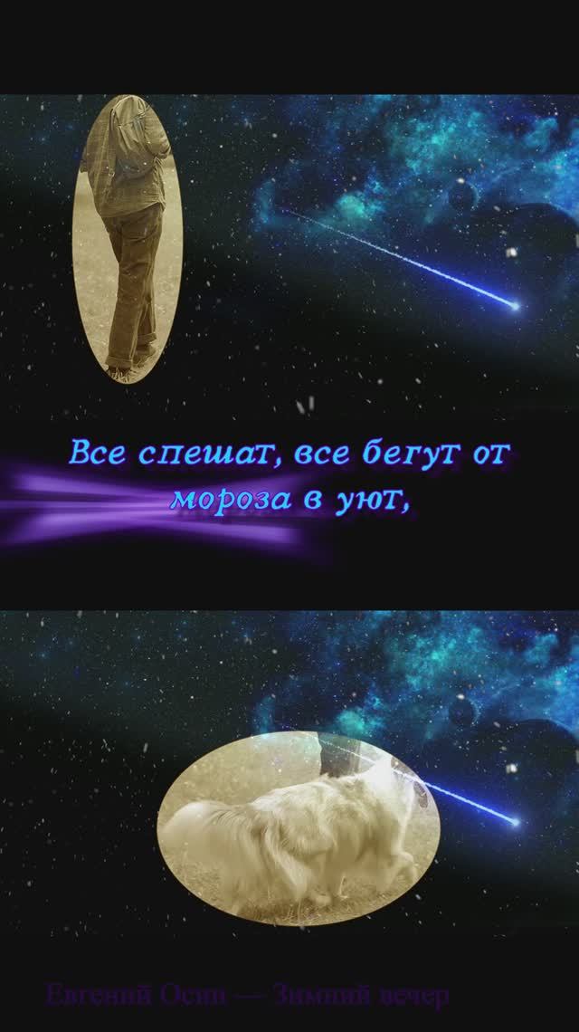 осин зимний вечер видео собаки