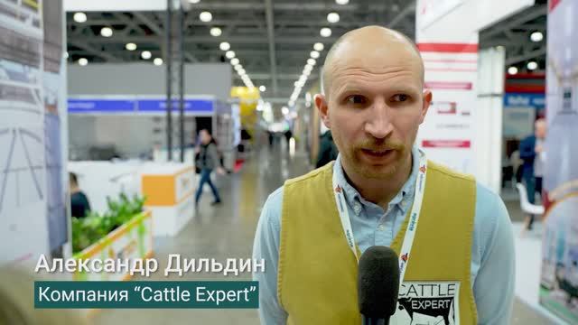 Александр Дильдин о выставке