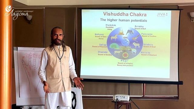 Основы психосоматической конституции человека в УЦ ДПО Лауста, Индия, Дели, март 2026